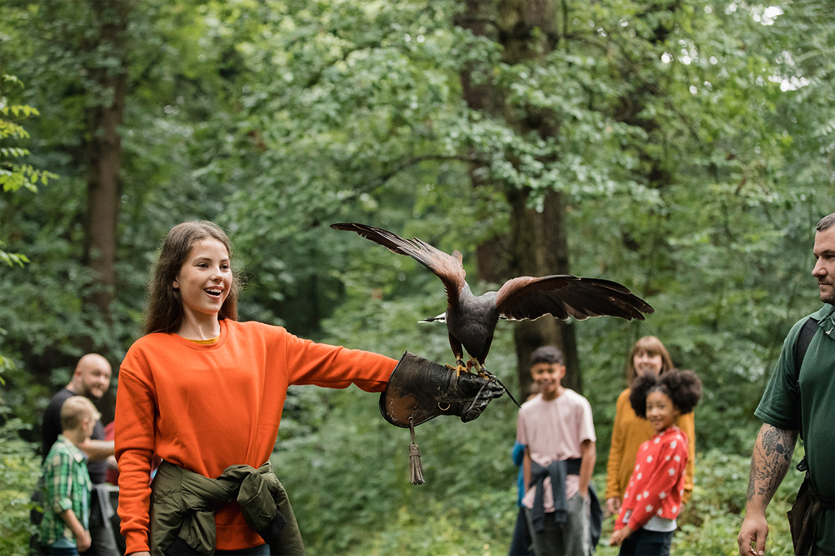 Things To Do In Huntsville: March 2026 | Choose Huntsville™